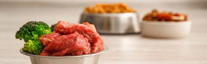 Why Fresh Is Best : D&D Petfoods Pet Foods Delivered